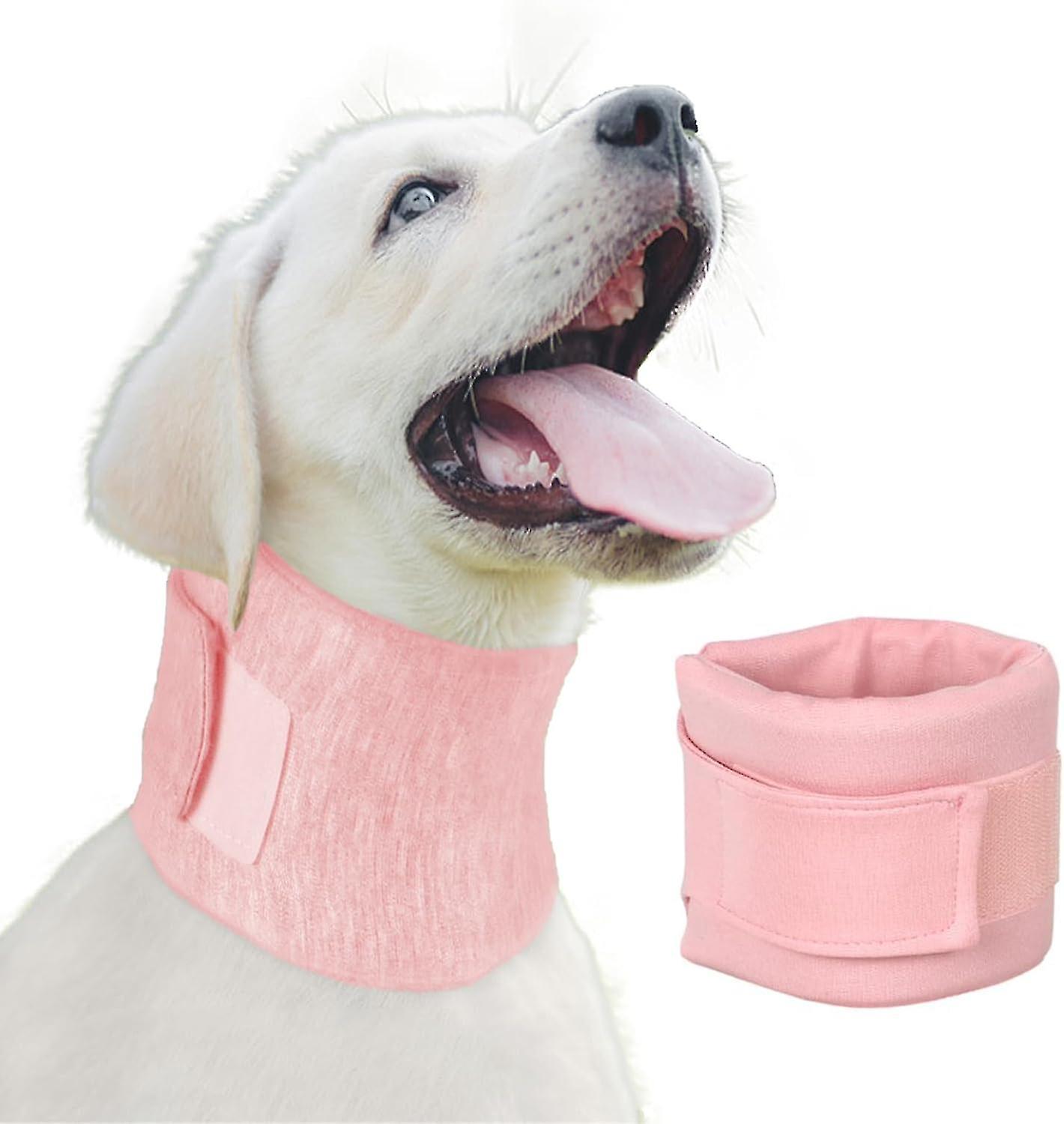 Dog Neck Brace Elizabethan Collar For Pet Recovery After Surgery ...