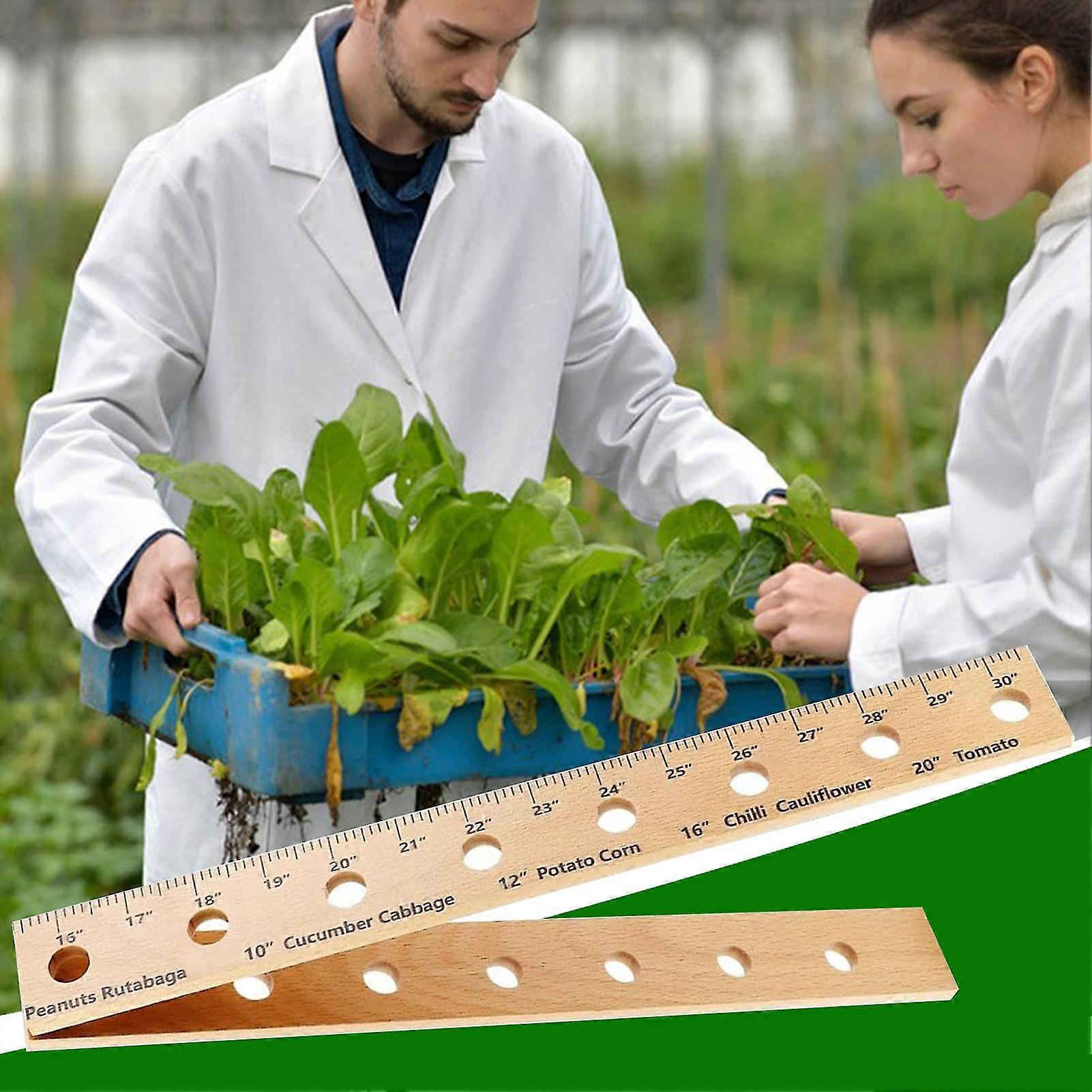 Wooden Plant Ruler Foldable Planting Ruler with Holes Smooth Edge Burr ...