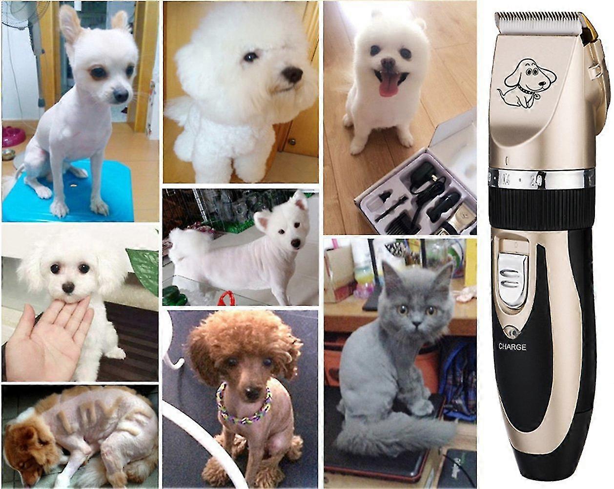 Dog Clippers, Rechargeable Cordless Dog Grooming Clipper Kit For Dogs ...
