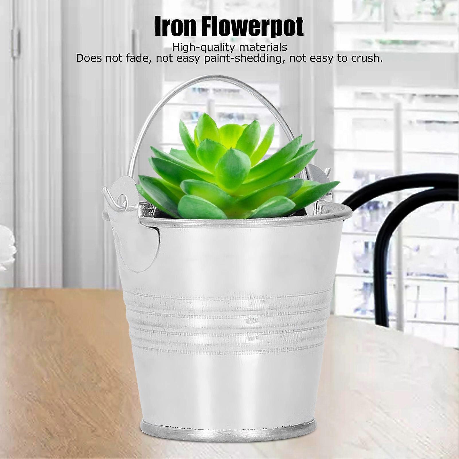 10PCS Flower Pot Mini Succulent Plant Pot Small Metal Bucket for Indoor ...