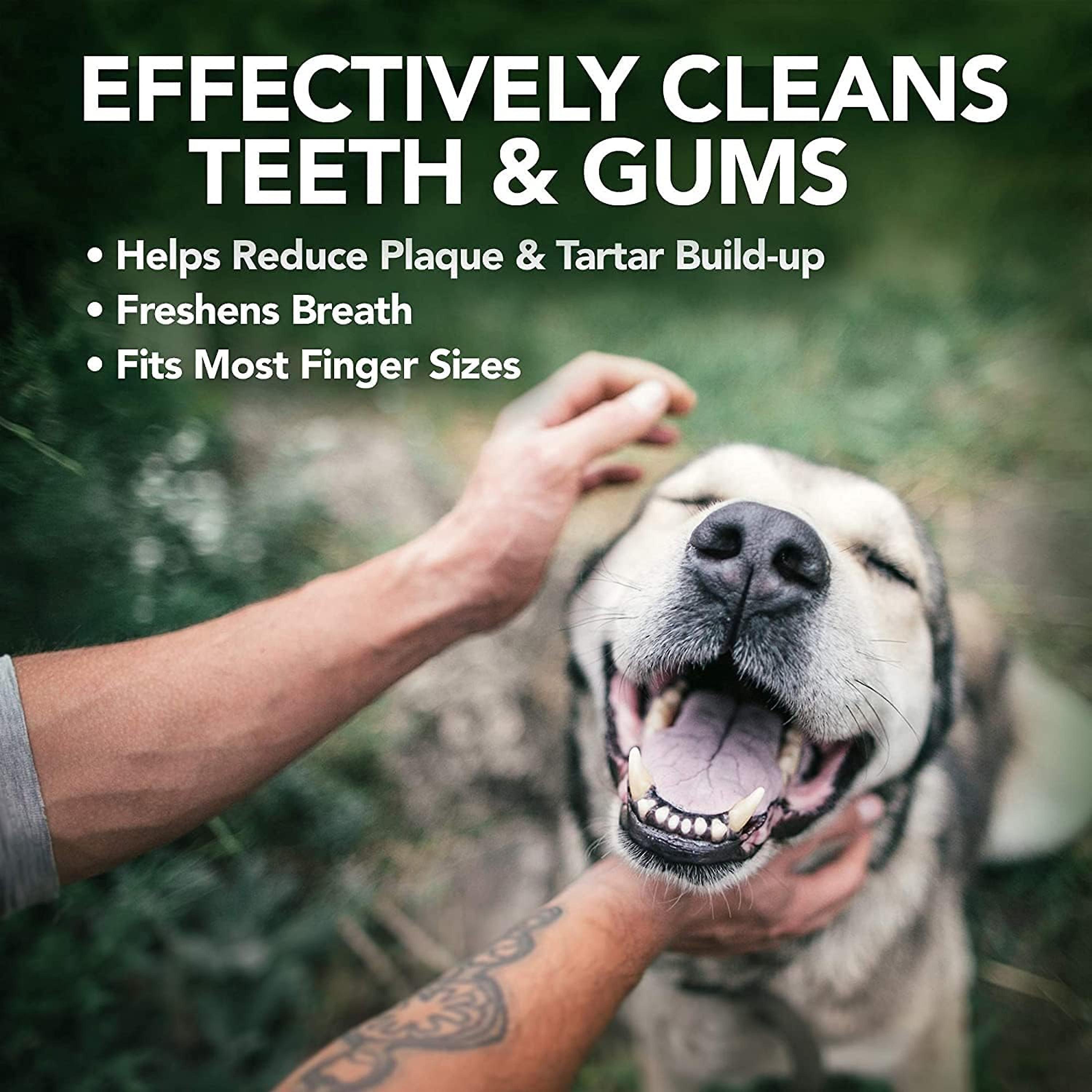 Vet's Best Clean Teeth Finger Pads for Dogs 50 Fingers pads | Fruugo NZ