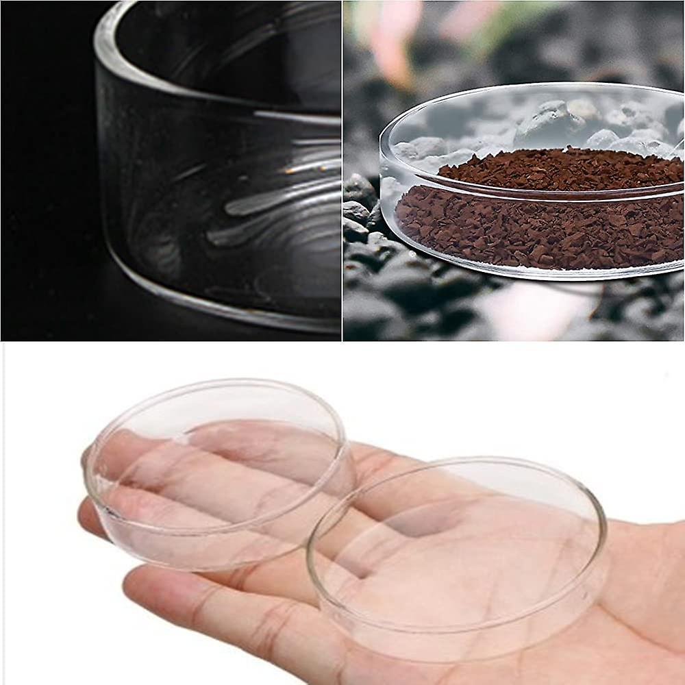 2 Pcs 6.5cm Aquarium Shrimp Feeding Dish Fish Feeding Bowl Round ...