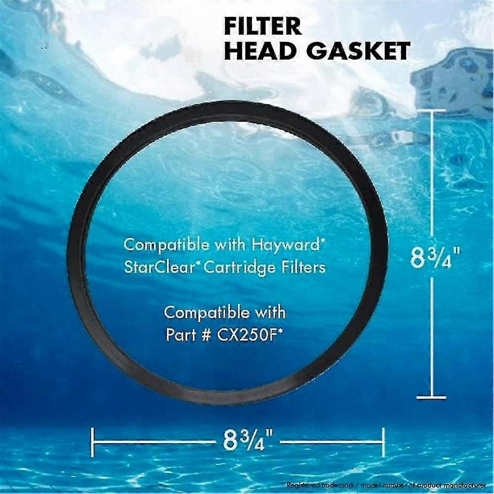Hayward Cx250F replacement head gasket compatible with cartridge ...