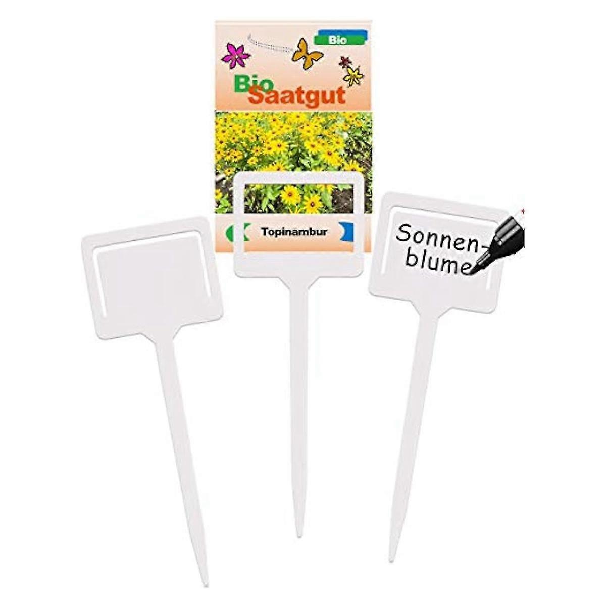 Plastic Gardening Labels, Succulent Labels, Insert Gardening Labels ...