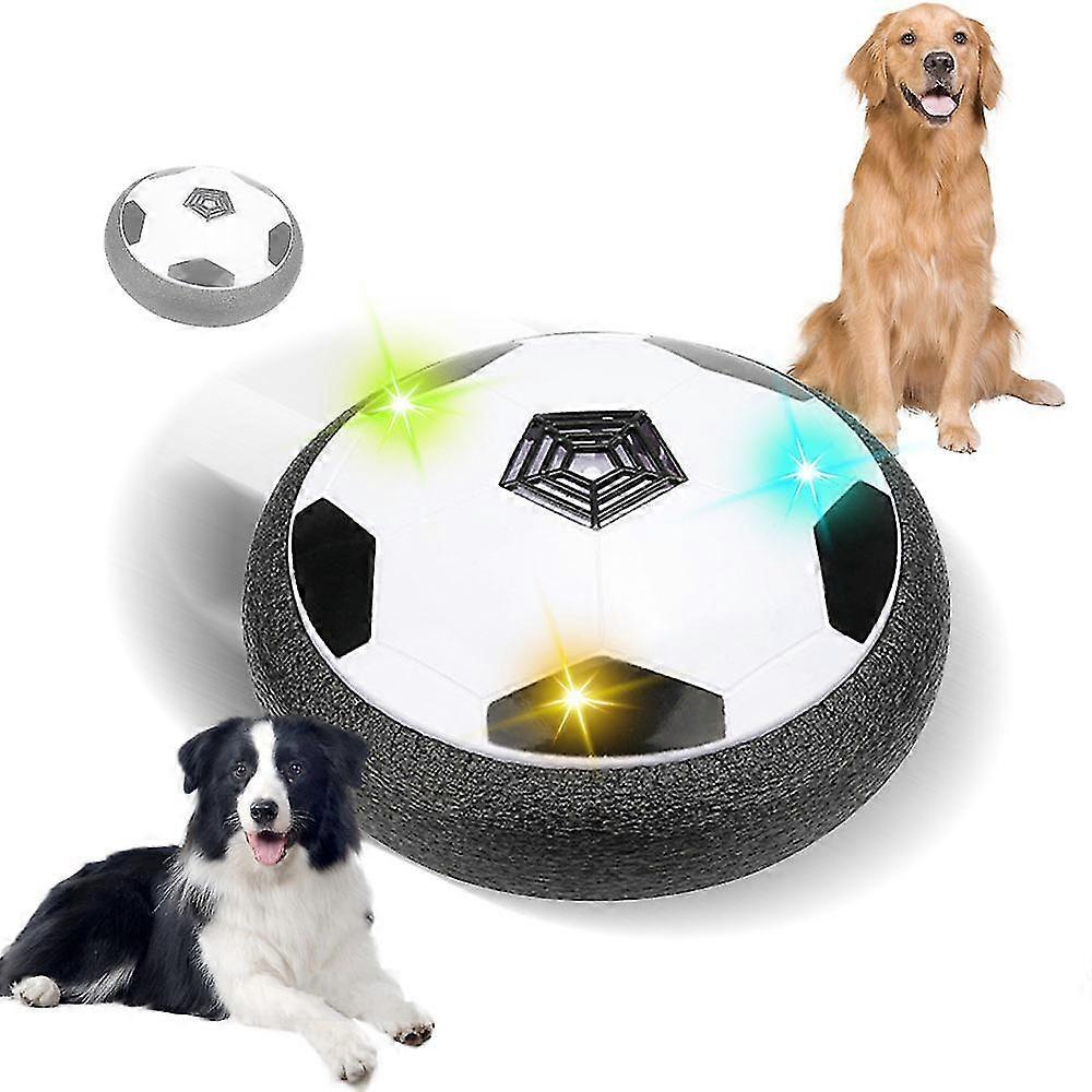 Active Gliding Disc Toy For Dogs, Interactive Dog Toy, Motion Activated ...