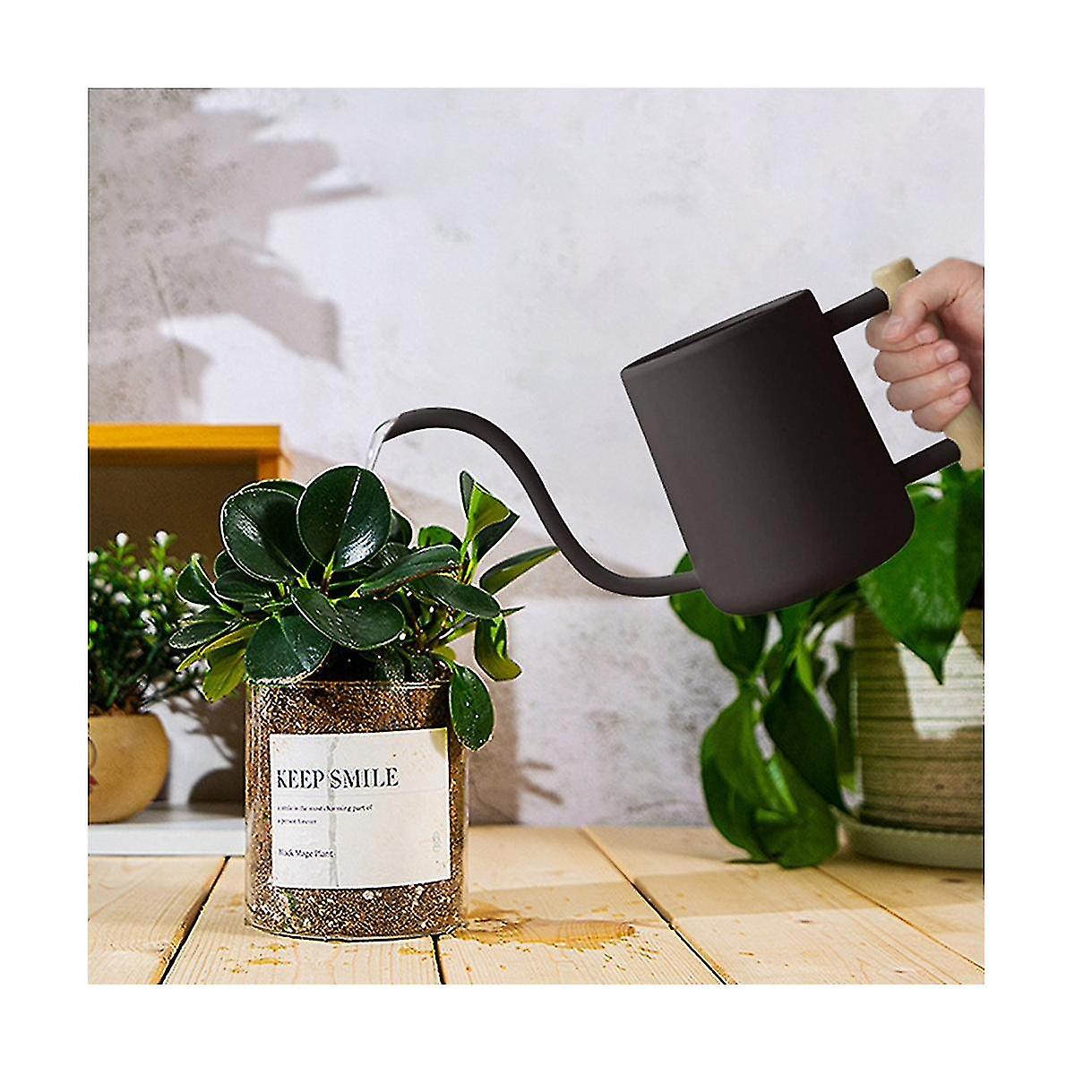 Watering Can Indoor Plants, 35 /1000 Ml Metal Stainless Steel Watering ...