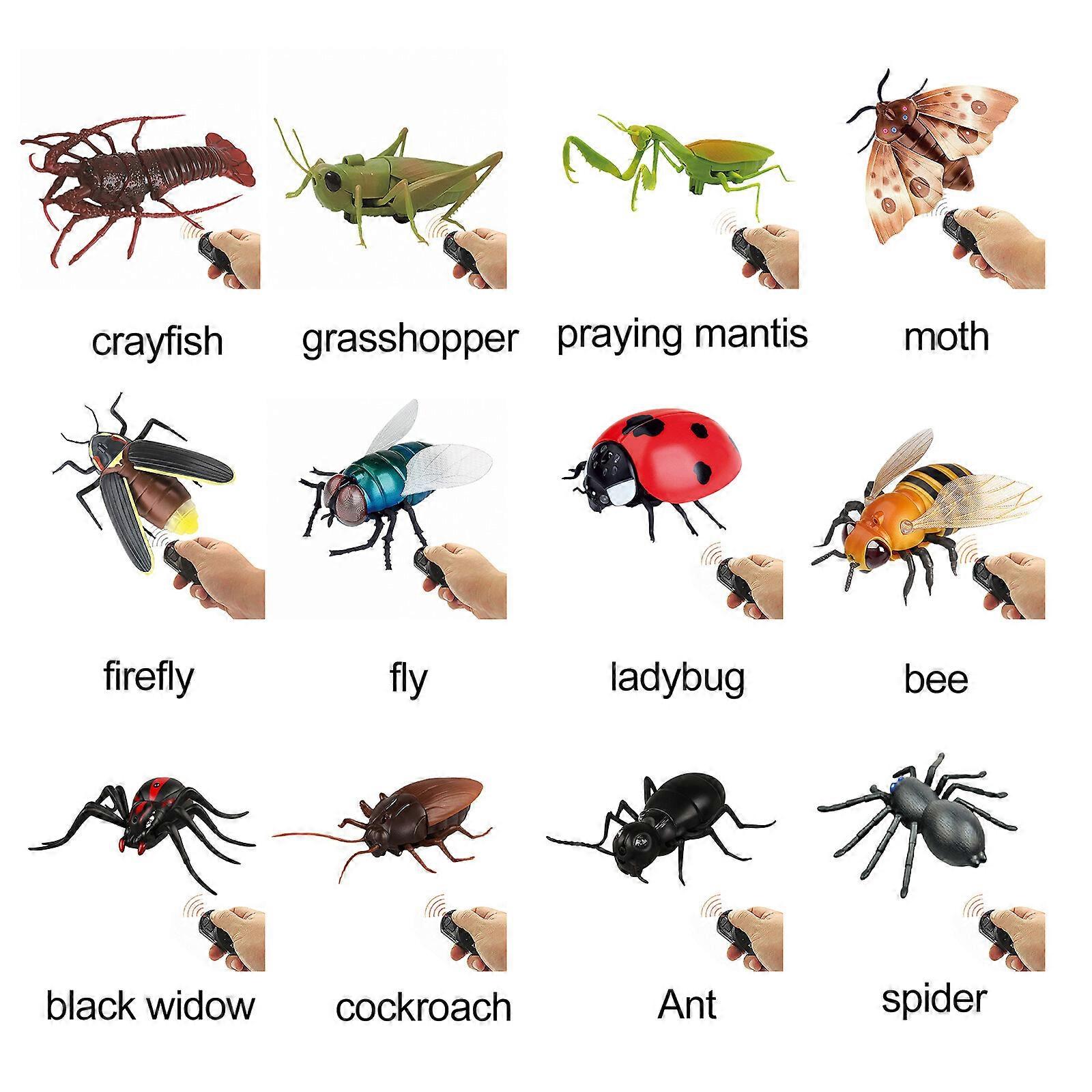 Remote Control Insect Prank Toy - Realistic Electronic Bugs for Scaring ...