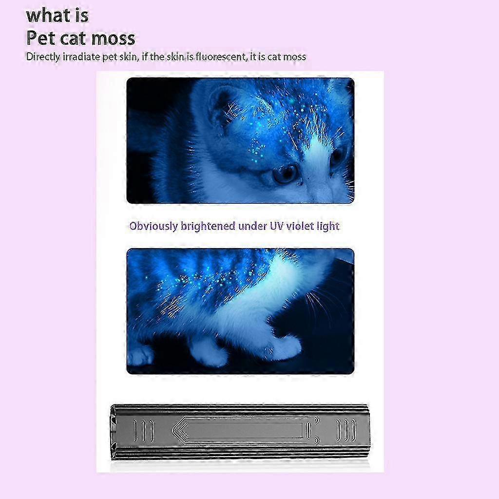 Urine Spot and Bed Bug Detection Device - Gasoline Analyzer for Skin ...