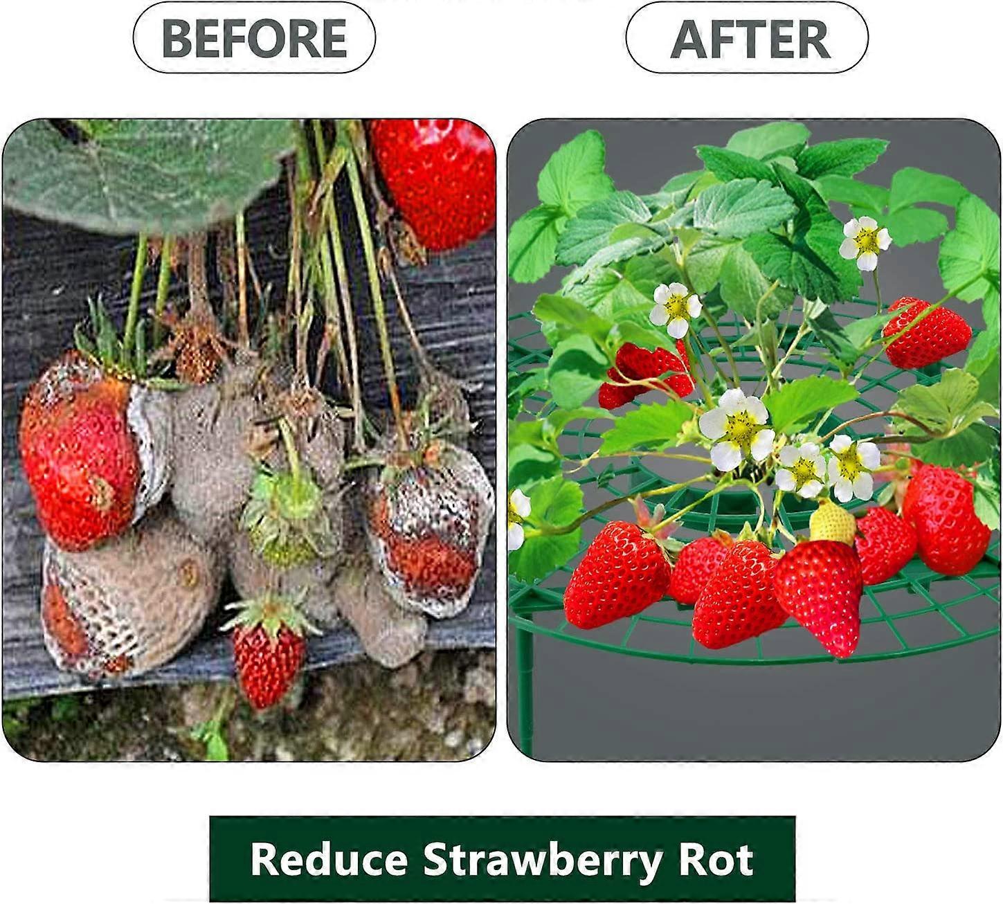 5 Pack Strawberry Stands - Strawberry Plant Stands Strawberry Planter ...