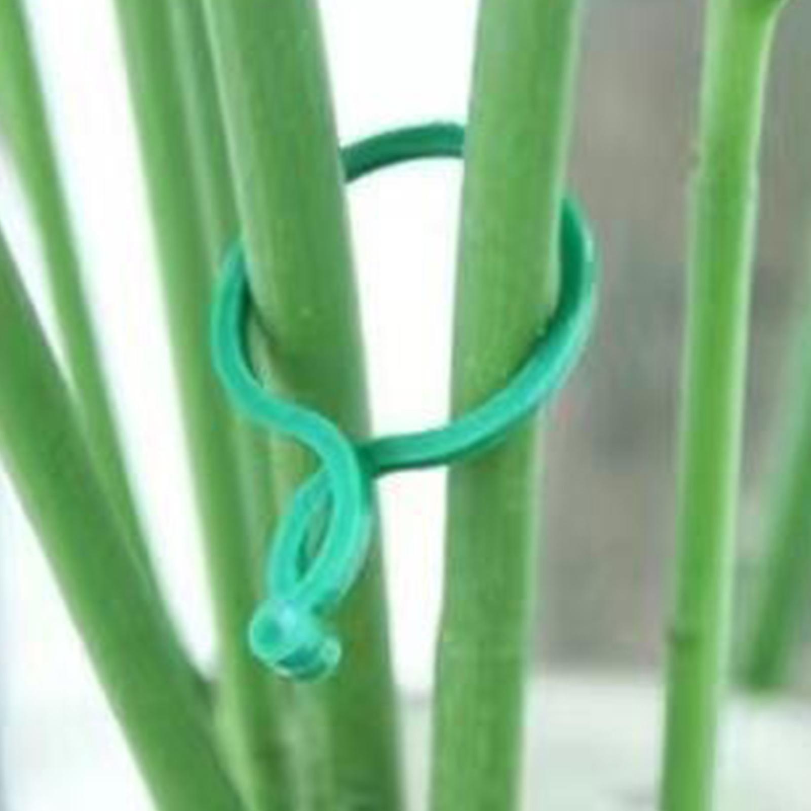 50PCS Plant Support Clips Easy to Operate Green Plastic Plants Locks ...