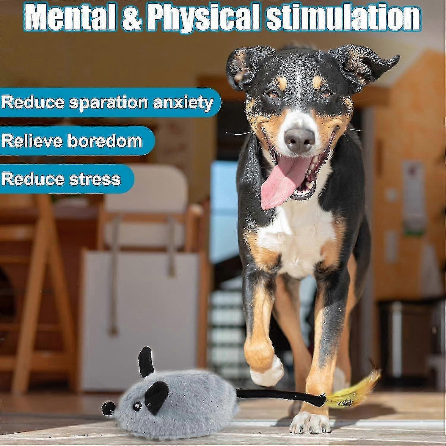 Fake Mouse Moving Dog Toy With Automatic Sensor, Dog Mouse Toy With ...