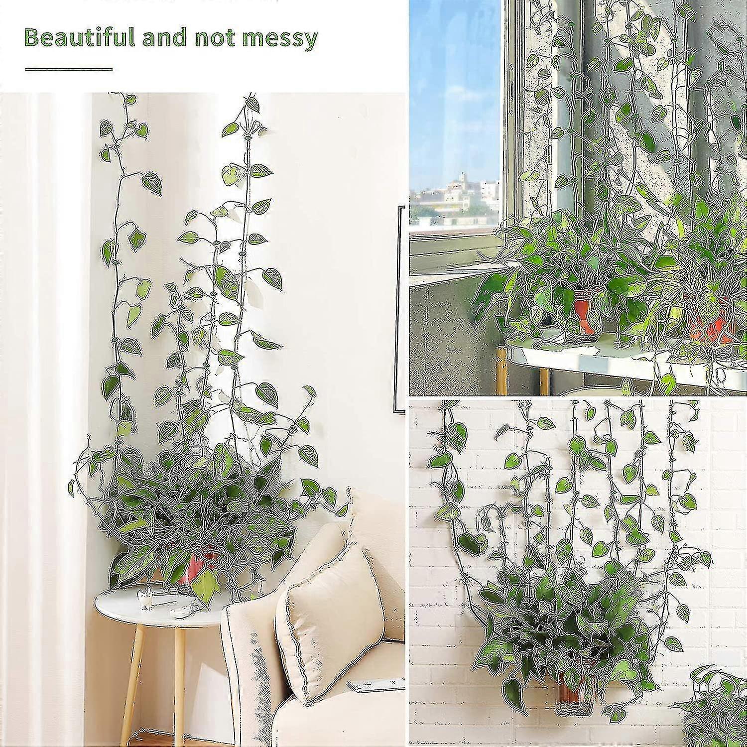 50pcs Plant Climbing Wall Fixture Clips, Invisible Self-adhesive ...