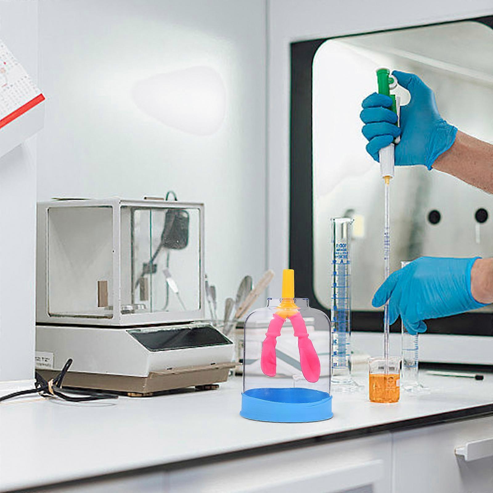 Human Lung Breathing Model Teaching Aid Education Lung Model for ...