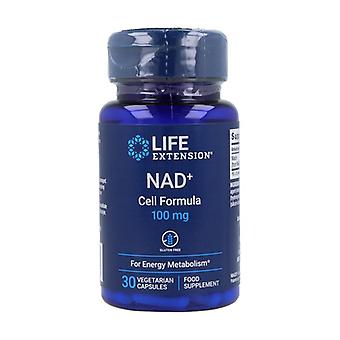 Amcore Balance | Fruugo PL