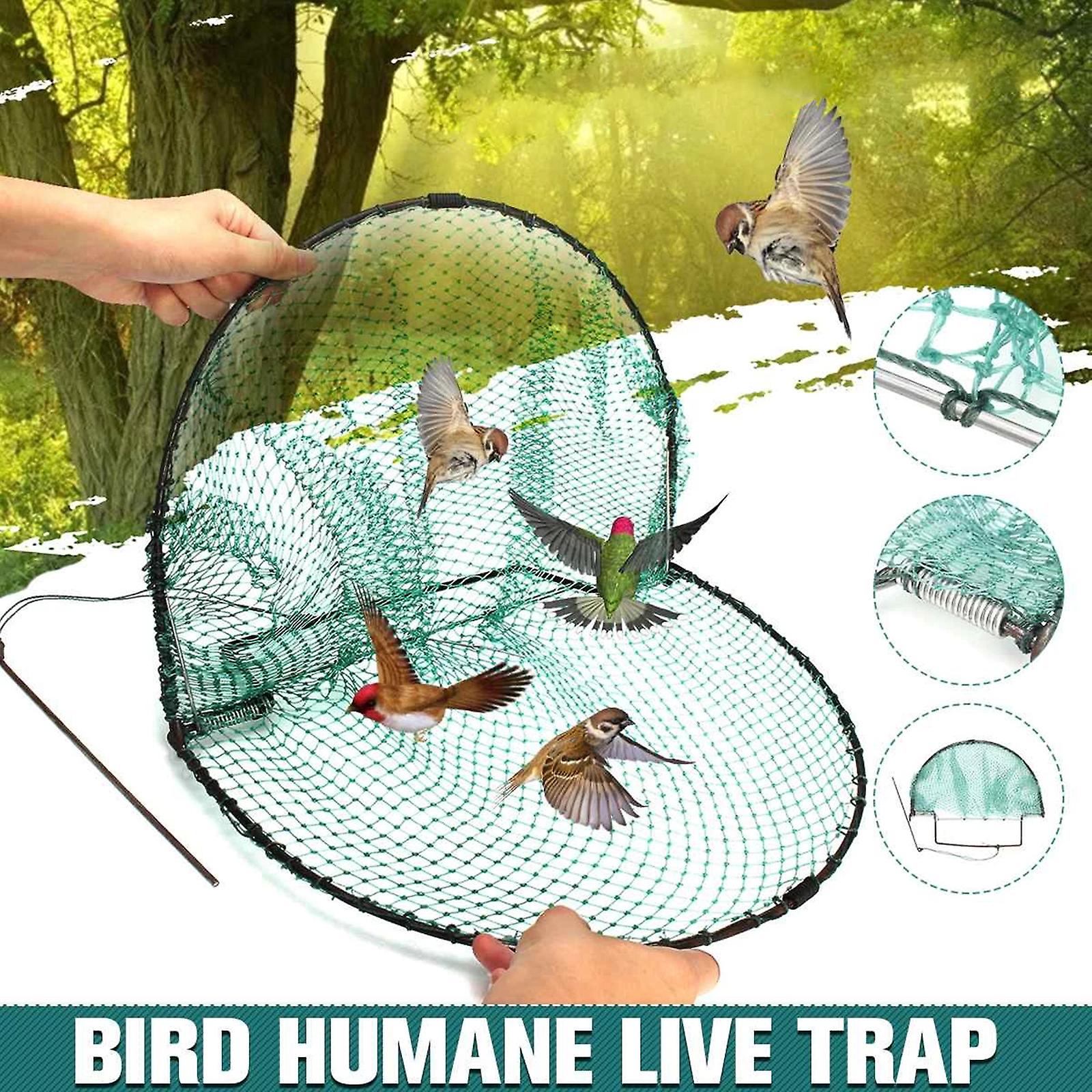 Bird Catcher Trap Mesh Bag for Pigeon Quail Hunting with Steel Frame ...