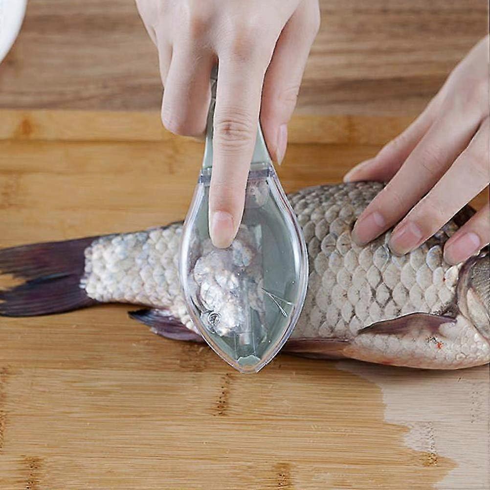 Fish Scale - Fish Scale Scraper Remover Plastic Fish Scale Skin Cleaner ...