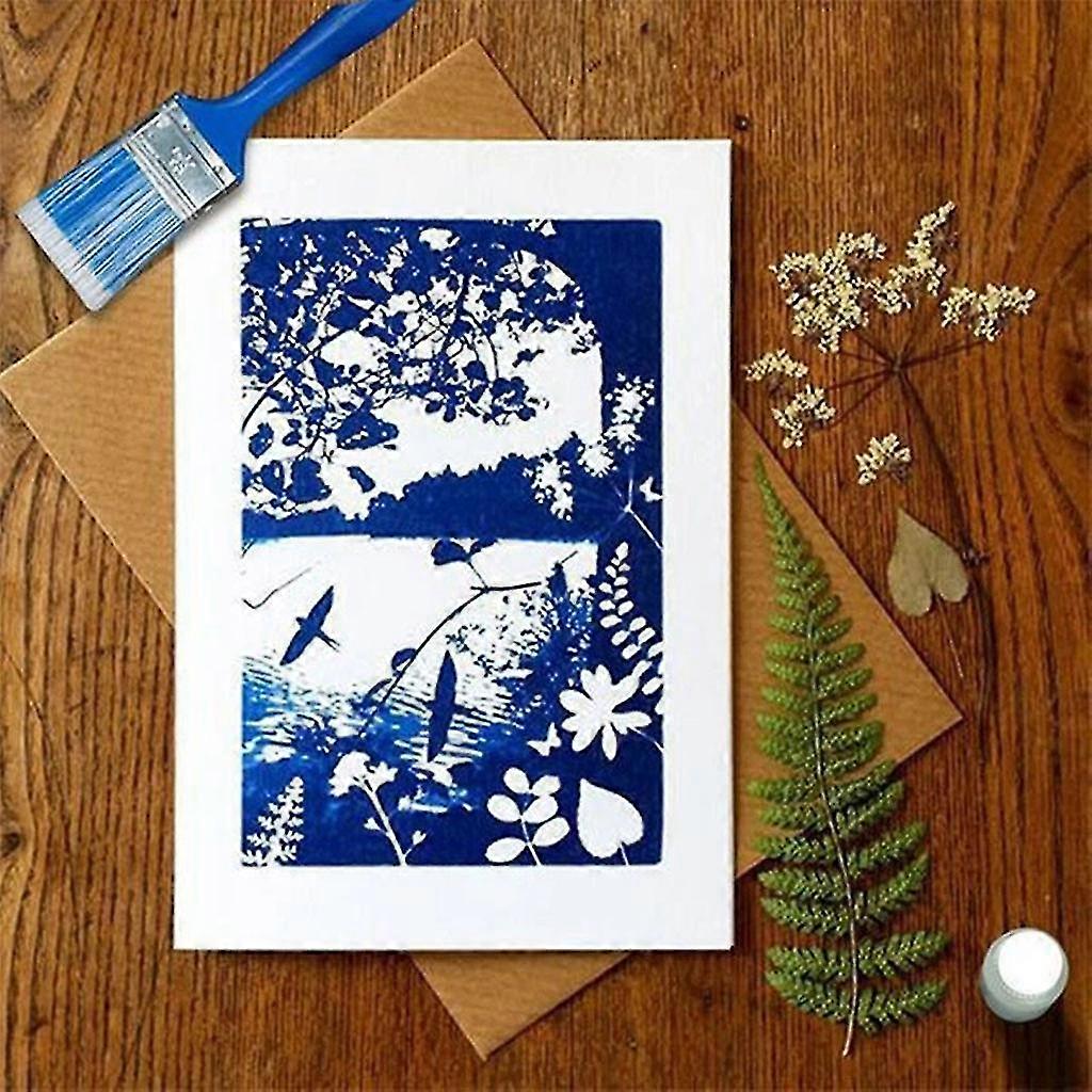 Cyanotype Set reates a blueprint or pictures with Cyanotype Kit 200ml ...