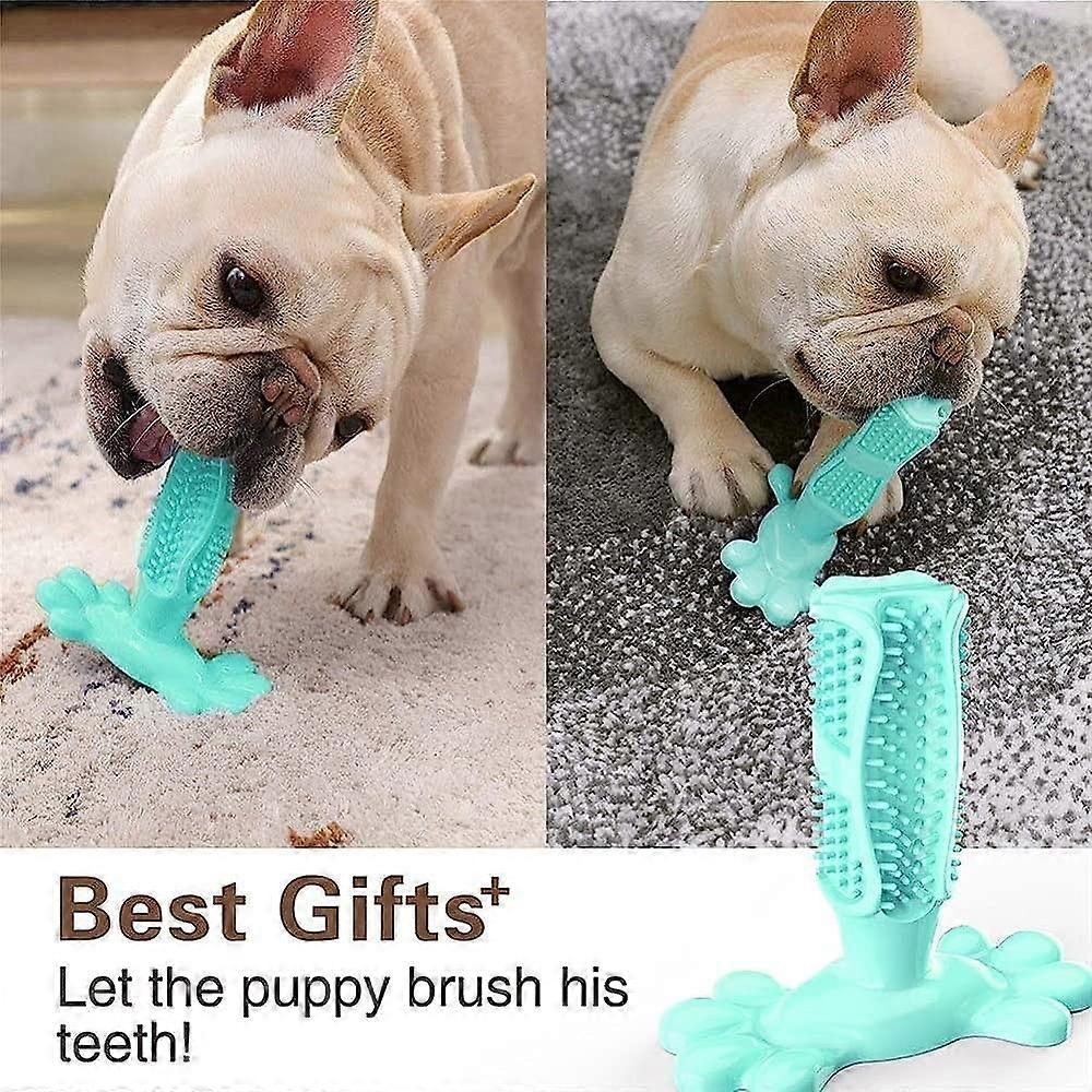 Dog Chew Rubber Toys Dog Toothbrush Teeth Cleaning Toy Dog Pet ...
