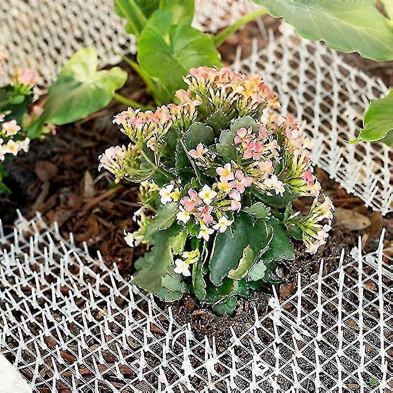 Cat Mosquito Repellent Mat With Stinging Strips Against Cat Pests ...