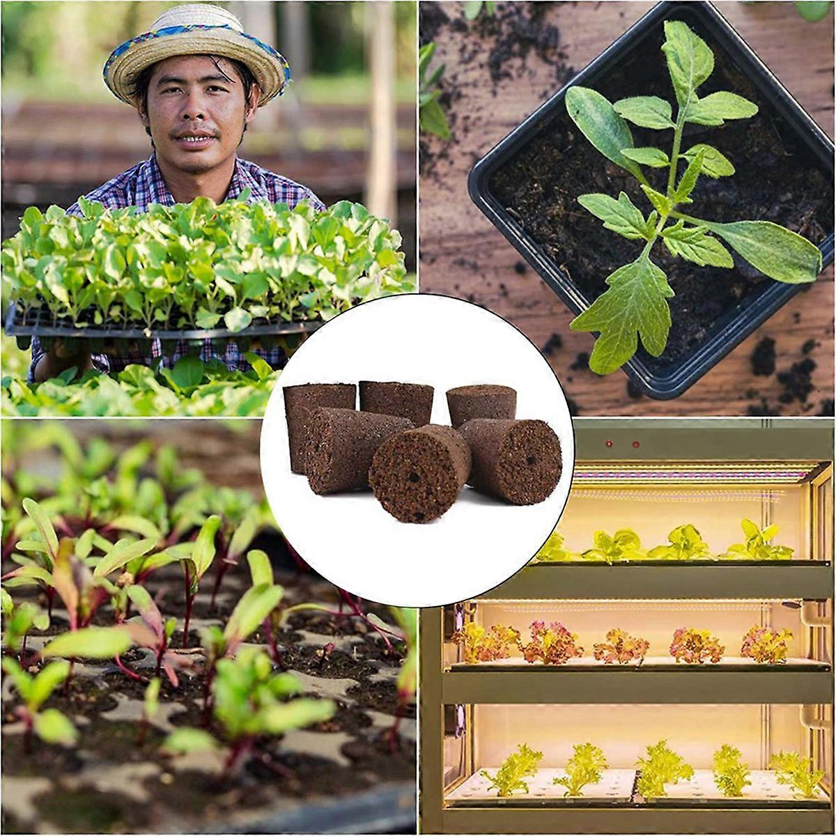 48X Plant Grow Sponges for Garden Hydroponic Indoor Garden Smart Sponge ...
