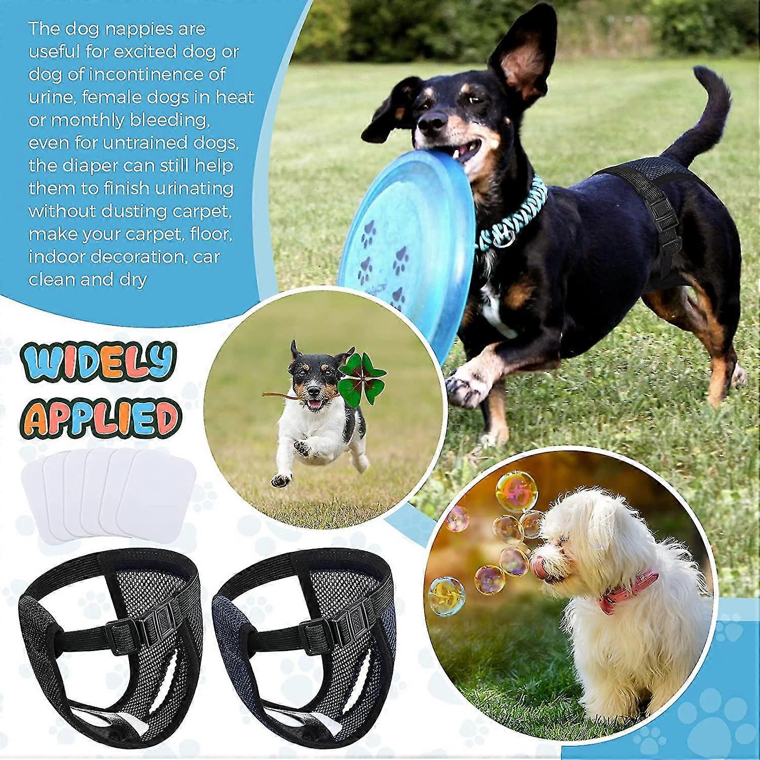 2 Packs Washable Female Dog Diapers Protective Dog Pants With 6 ...