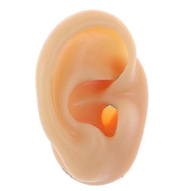 Reused Silicone Ear Model For Hearing Aid 1:1 Human Ear Ear Model ...