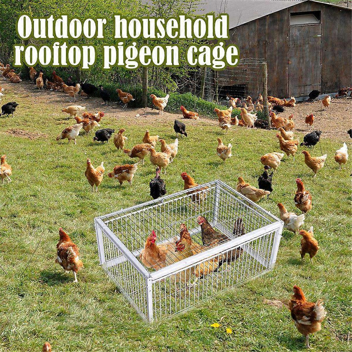 Auto Trap Bird Cage Trap bird Cage Entry Only No Exit Bird Cage ...