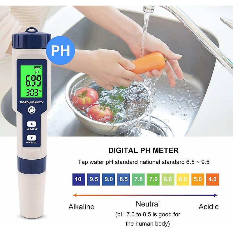PH Meter, PH Meter 5 In 1 PH/TDS/EC/ORP/Temp Meter, Water Quality ...