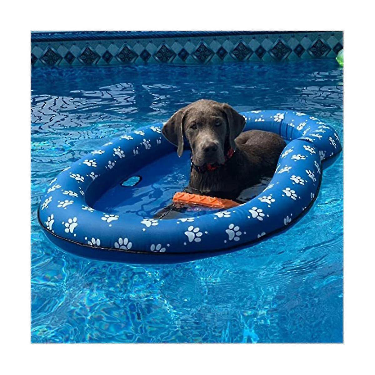 Inflatable Pool Float For Dog And Puppies, Big Contemporary Kitty ...