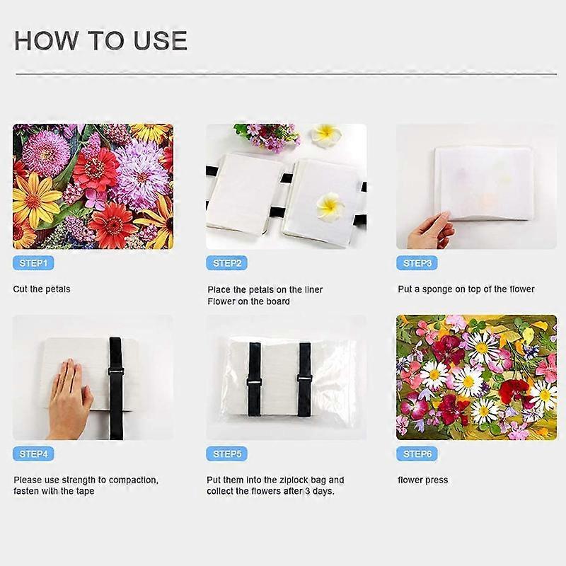 Flower Press Kit, Leaf Press, Plant Press, Leaf Press Set for DIY Art ...