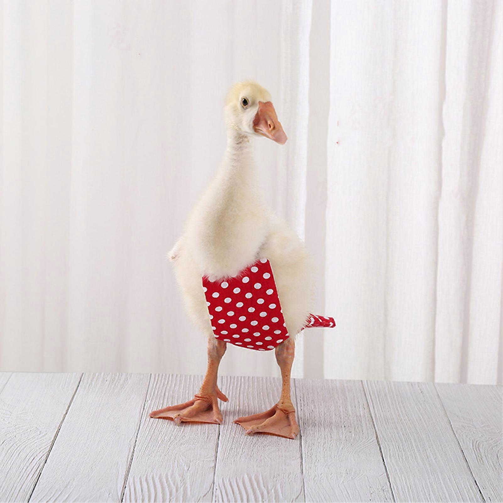 Pet Chicken Diapers Duckling Diapers Reusable Washable Goose Clothes ...