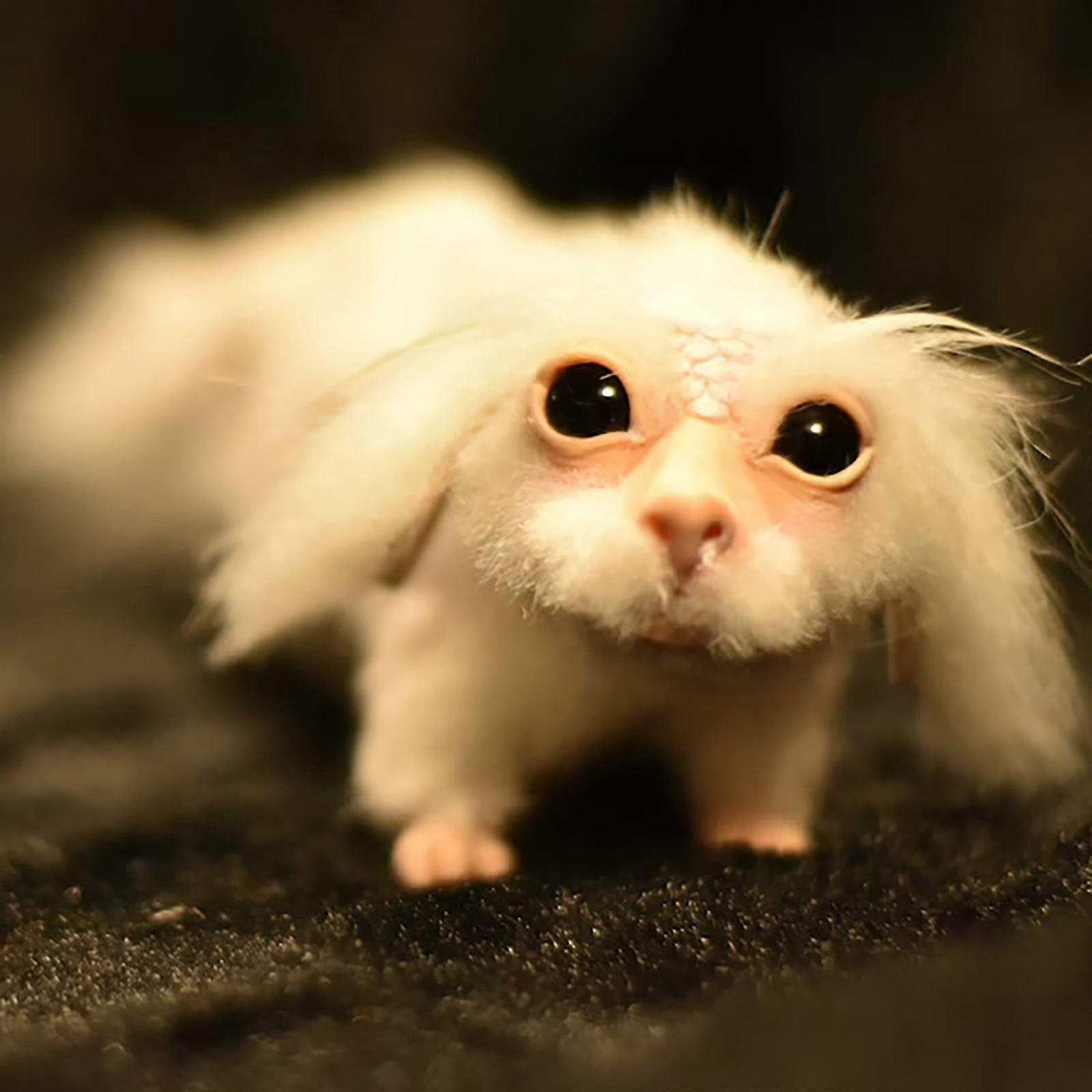 Funny Present Plush Doll Worm From Labyrinth Falkor From The ...