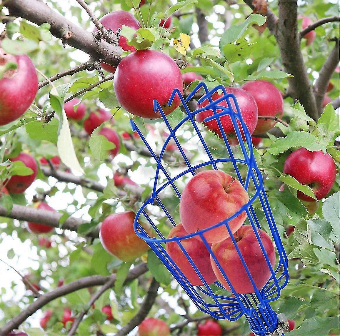 Fruit Picker Adjustable Lightweight Fruit Catcher Tool Stainless Steel ...