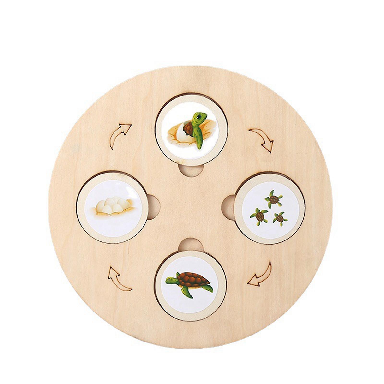 Life Cycle Model Set Animal Planter Growth Toys For Preschool Kids ...