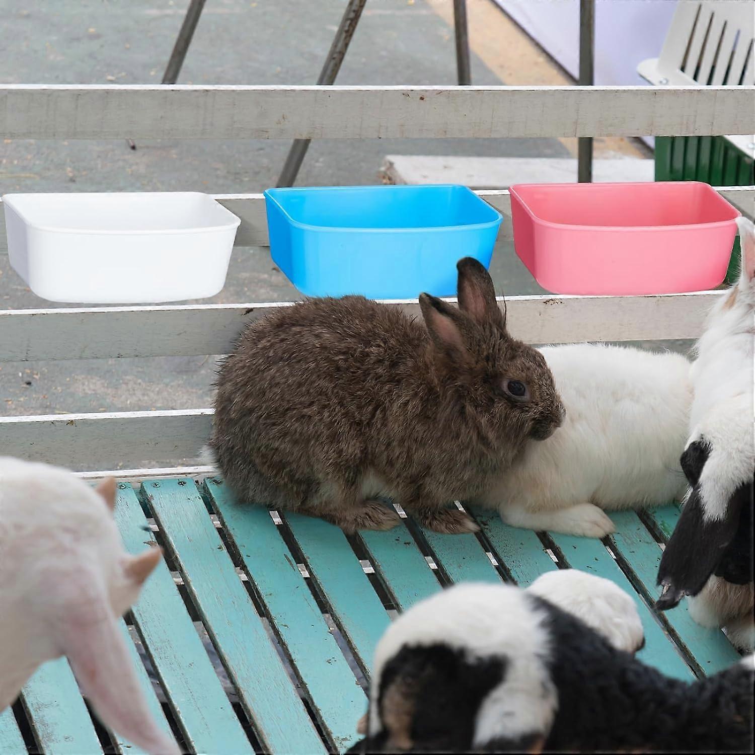 12 Pcs Rabbit Feeder Waterer, 15 Oz Chicken Guinea Pig Food Bowl, Cage ...