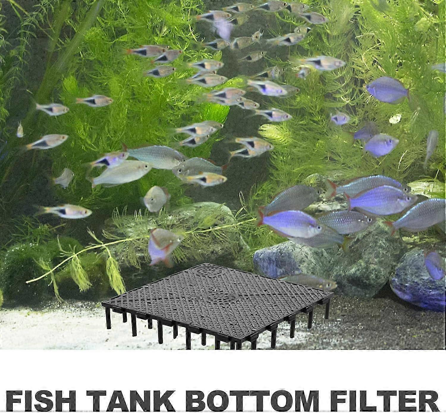 Aquarium Bottom Filtration System - 15x15cm Gravel Filter Plate ...