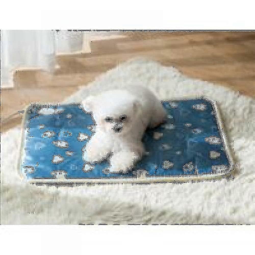 Dog And Cat Heating Pad Electric Pet Heating Pad With Crystal Velvet ...