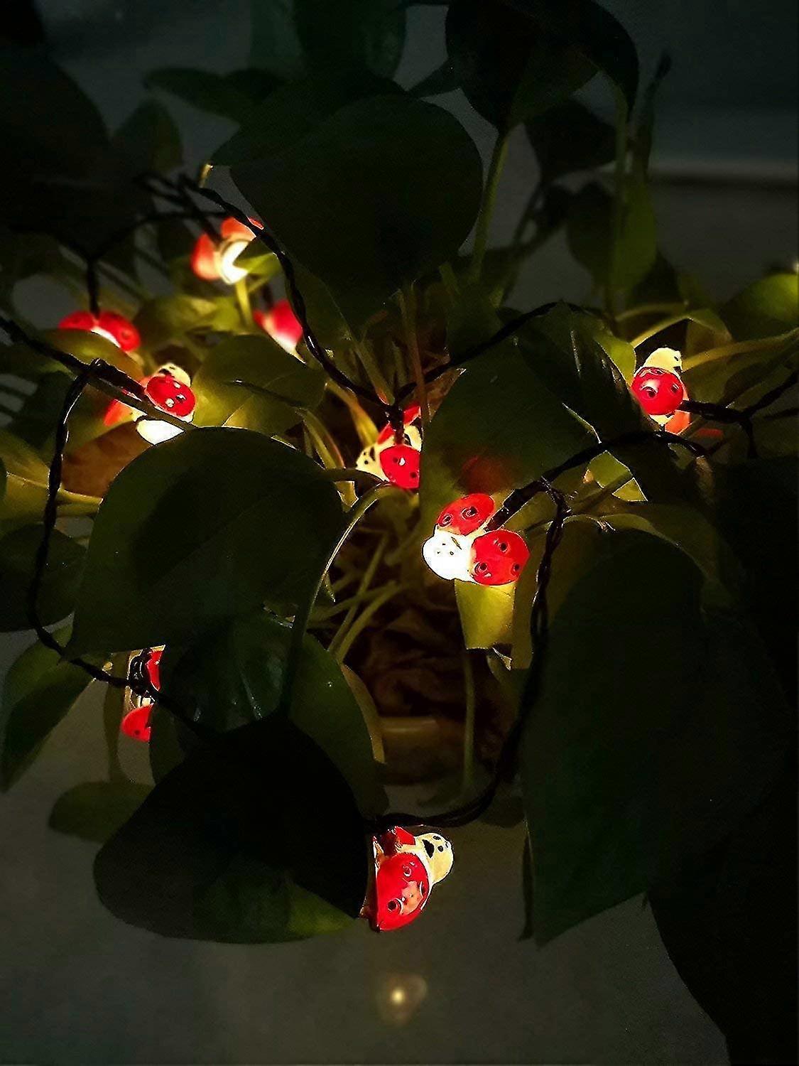 Solar Garden String Lights, Solar Ladybird String Light Beetle String ...