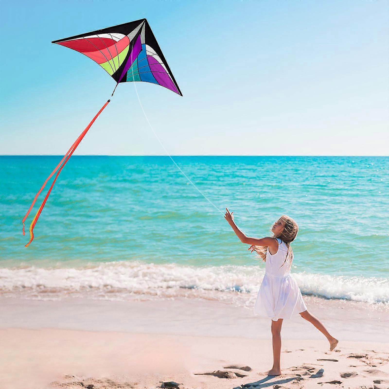 Kites For Kids Kites For The Beach Huge Kite For Kids Colorful Kite ...
