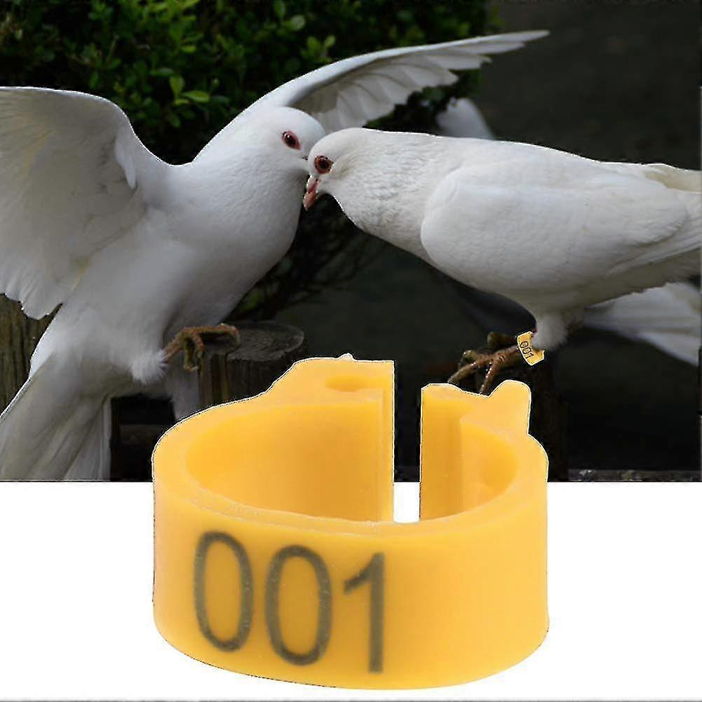 Pigeon Feet Rings 8 Mm Bird Leg Clip Rings Plastic Pigeon Leg Bands ...