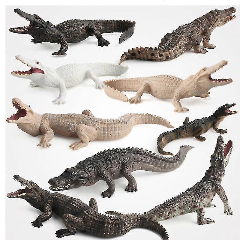 9 Piece Crocodile Model Simulation Set Crocodile Animal Model Collector ...