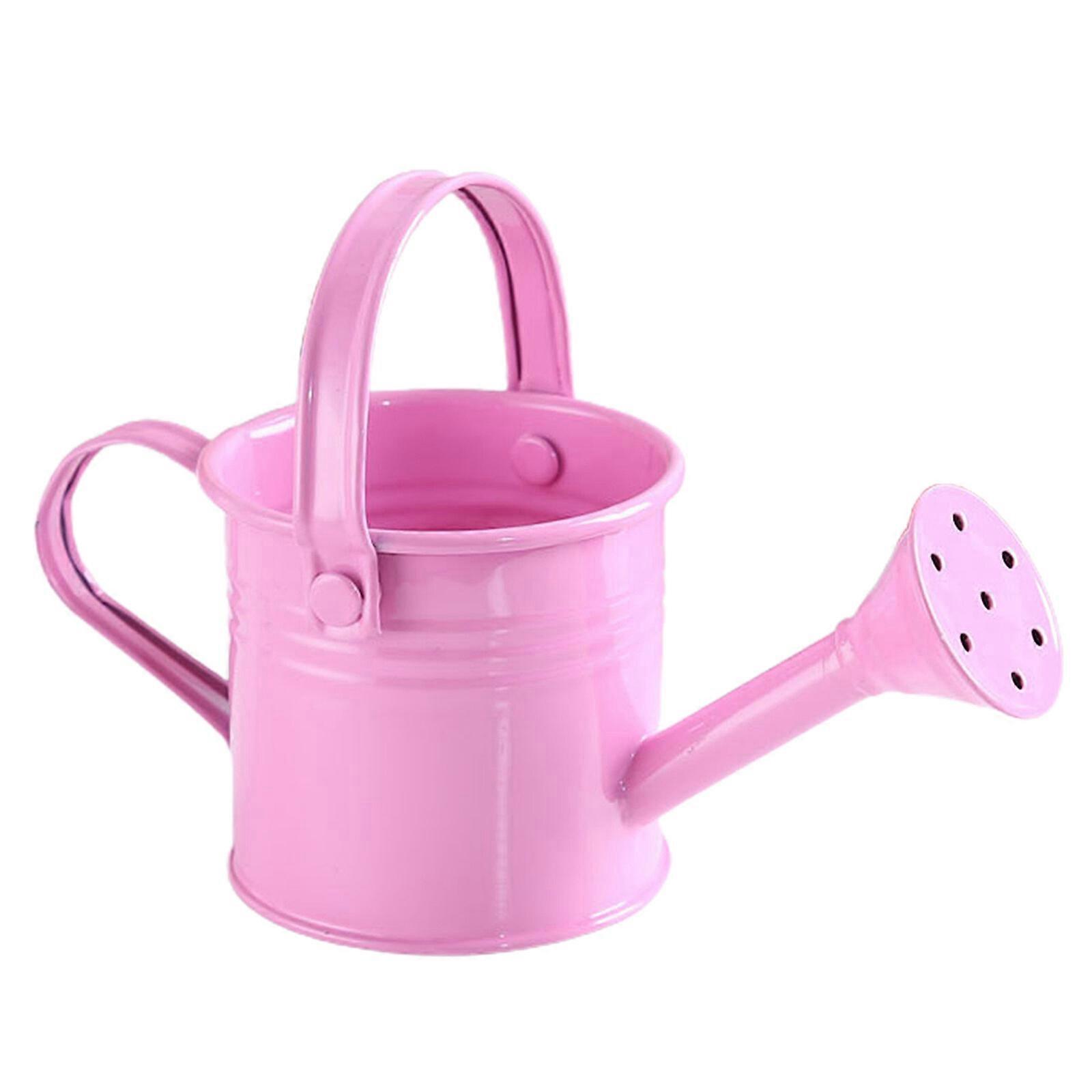 Portable Metal Watering Can with Long Spout, Wrought Iron Handle for ...