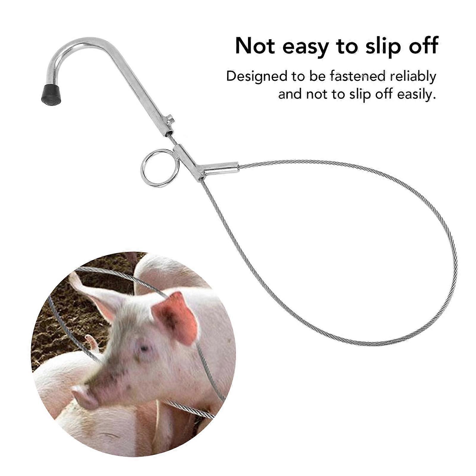 Pig Catcher 304 Stainless Steel Labor Saving Anti Shedding Pig Control ...
