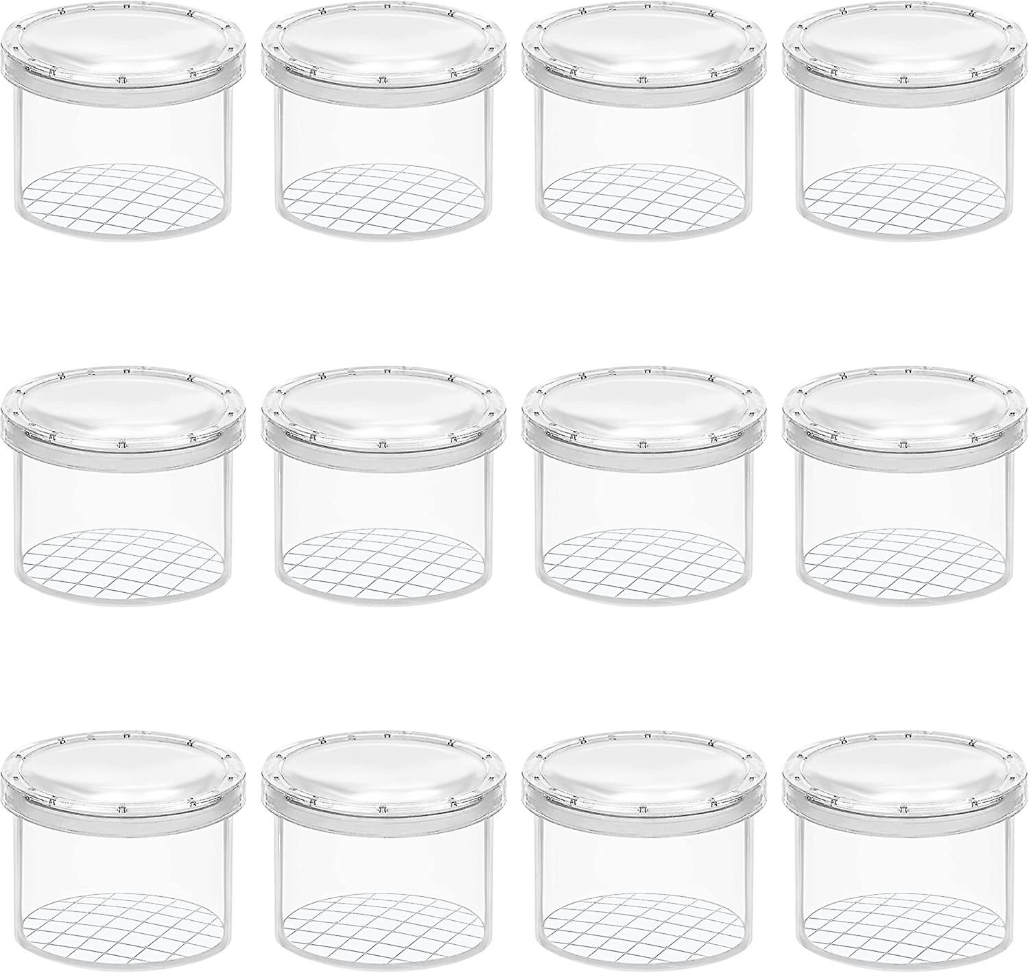 Magnifying Insect Container - Clear Observation Bug Box/viewer ...