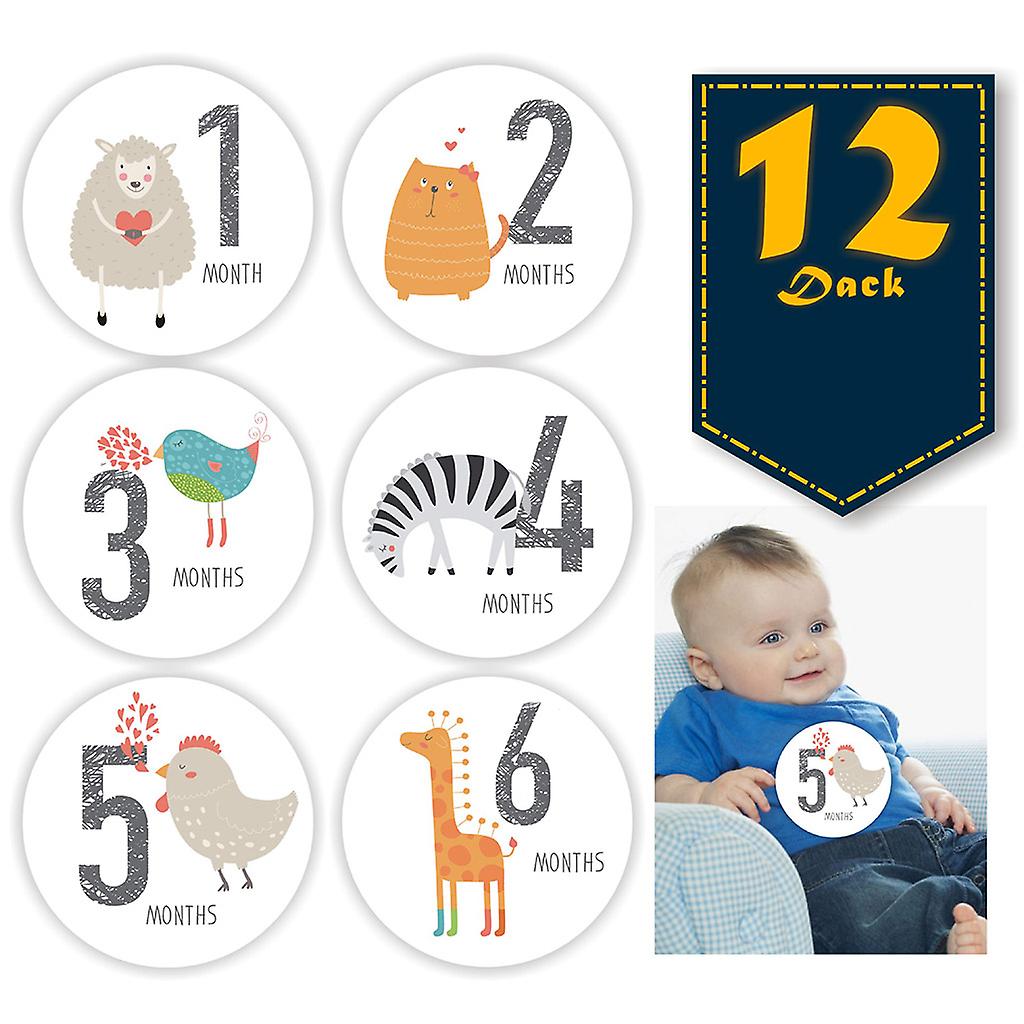 12 Pcs/set Baby Pregnant Monthly Stickers Newborn Growth Photo ...