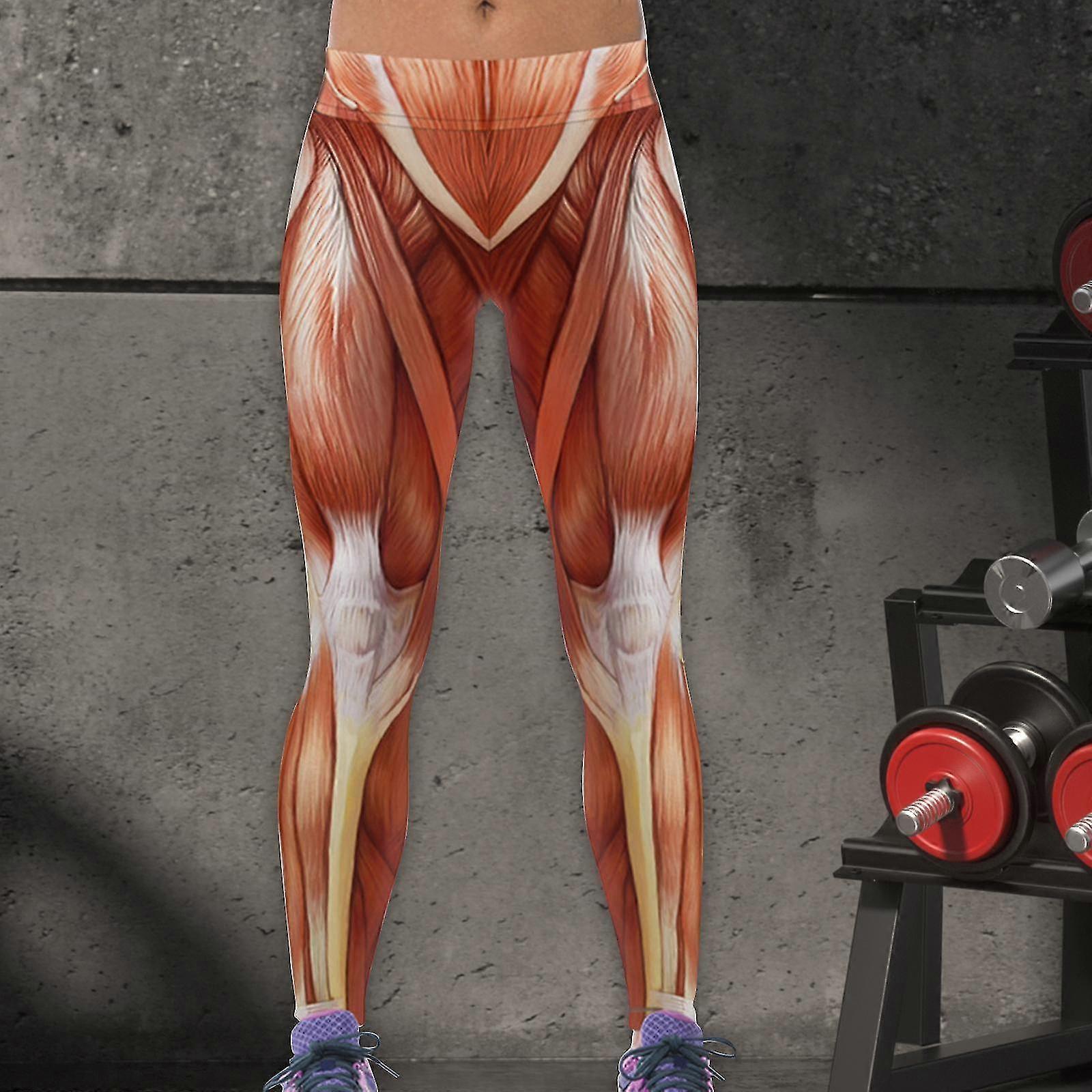 Women's High Waisted Leggings Anatomical Muscle Leggings Muscle Printed ...