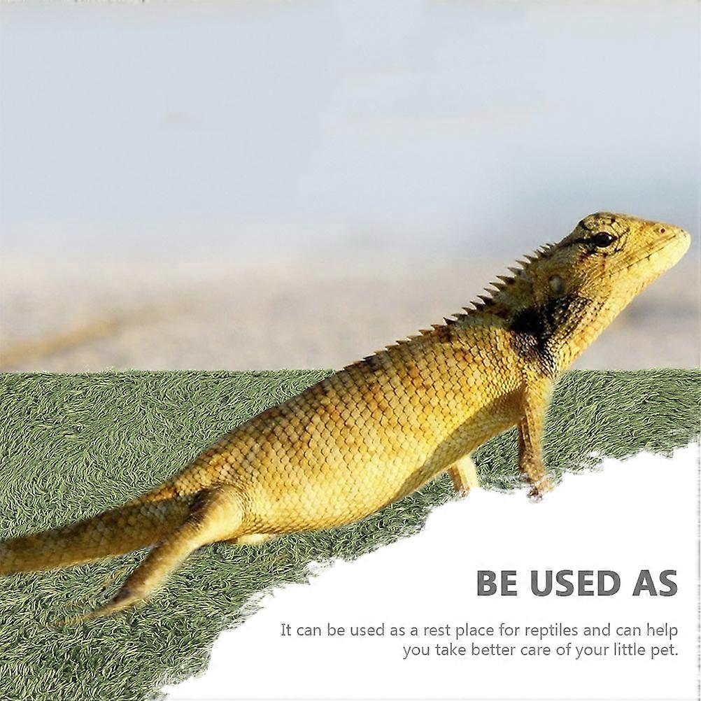 Reptile Moss Carpet Crawl Pets Fake Lawn Home Terrarium Cushion (Green ...