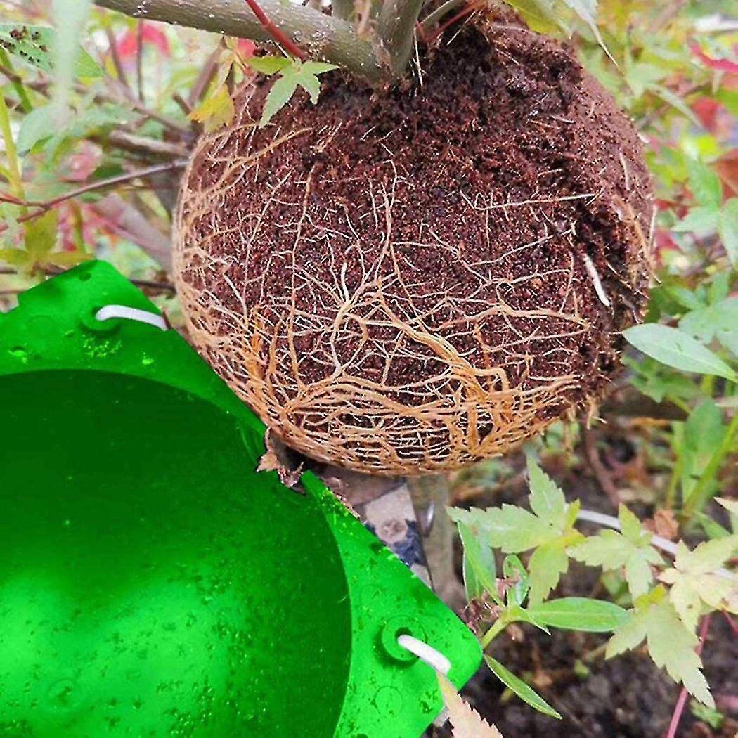 15 Pieces Of Plant Propagation And Rooting Ball Device-reusable Plant ...