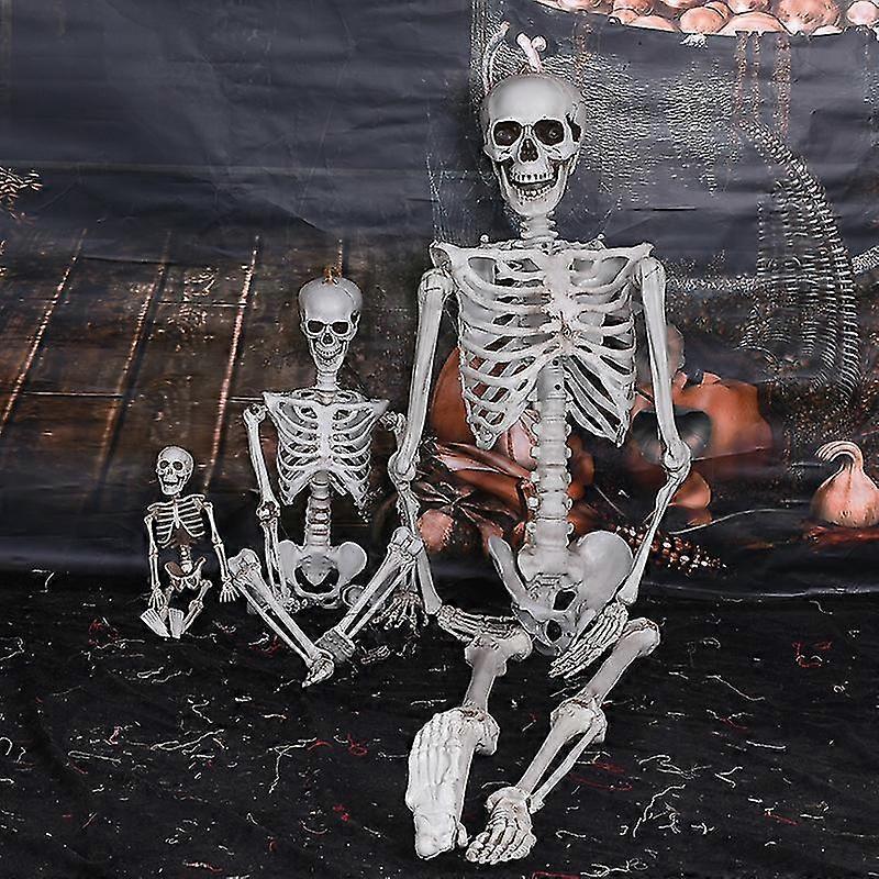 Halloween Skeleton, Realistic Life Size Skeleton Full Body Posable ...