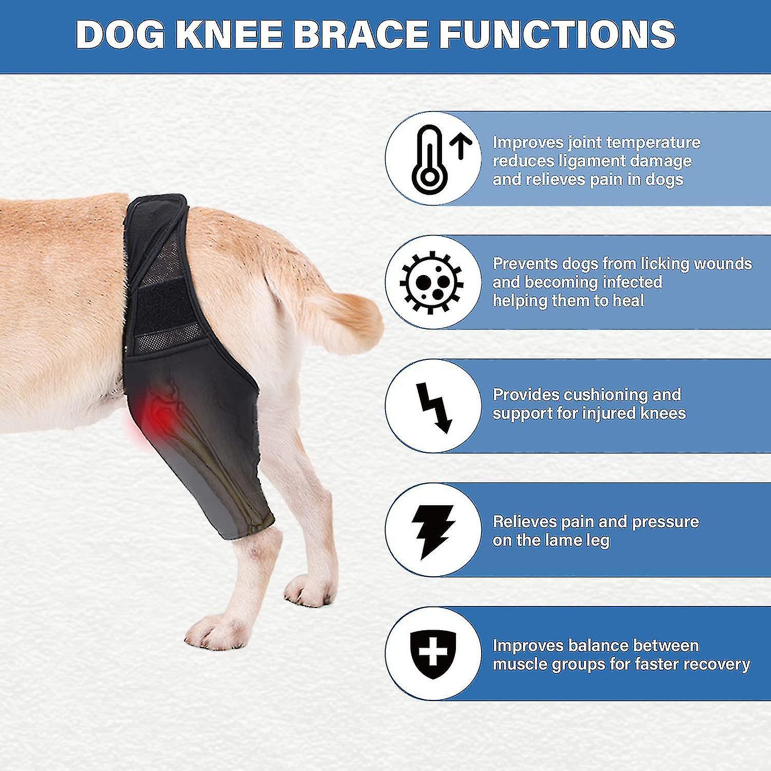 Dog Knee Brace,dog Leg Brace Hip Support Brace For Cruciate Ligament ...